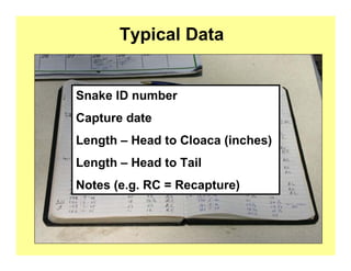 Tp copperhead survey | PDF | Reptiles | Pets