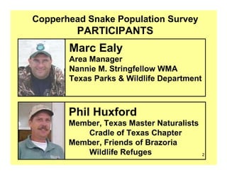 Tp copperhead survey | PDF | Reptiles | Pets