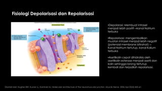 TP 1 - Train of Four - Antonius Wahyu Hendrawan_PPT.pdf