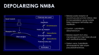 TP 1 - Train of Four - Antonius Wahyu Hendrawan_PPT.pdf