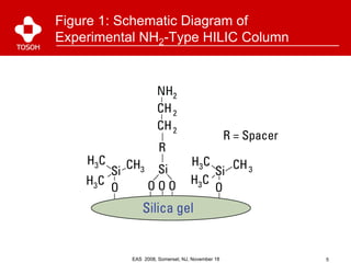 TSK-GEL LC-NH2 Column_TP131 1208 | PDF