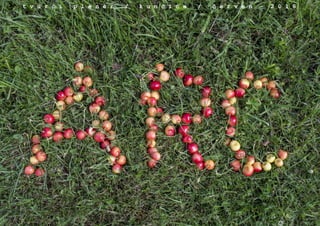 Katalog TP 2018 | PPT