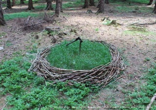 Katalog TP 2018 | PPT