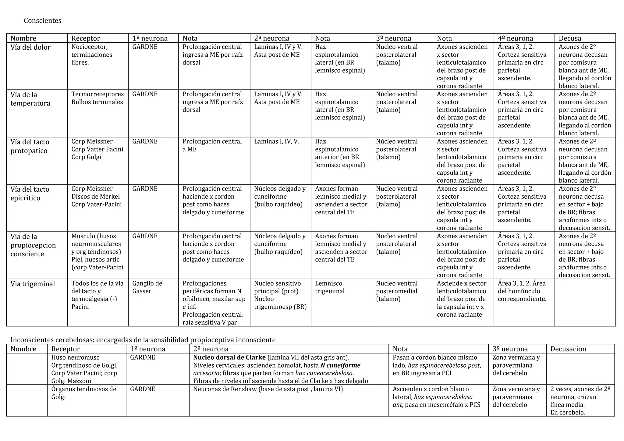 VÍAS DEL SISTEMA NERVIOSO - Neuroanatomía.docx