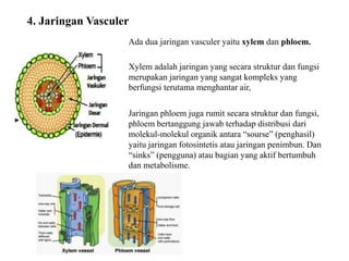 TP 3 Fase F ORGANISASI TUMBUHAN_ SEL, JARINGAN DAN ORGAN.ppt