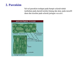 TP 3 Fase F ORGANISASI TUMBUHAN_ SEL, JARINGAN DAN ORGAN.ppt