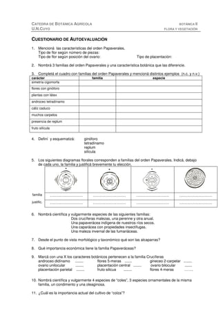 Tp 4 Papaverales | PDF