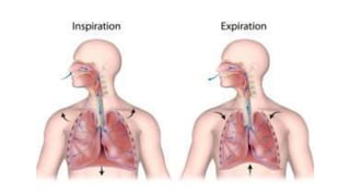 Prone Positioning on PARDS | PPT