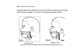 Prone Positioning on PARDS | PPT