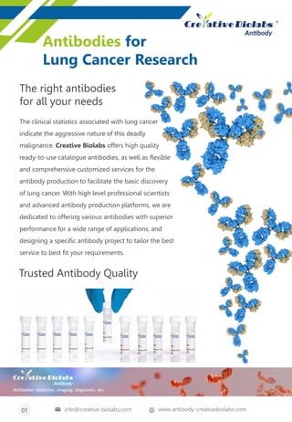 Antibody Array Analysis | PDF