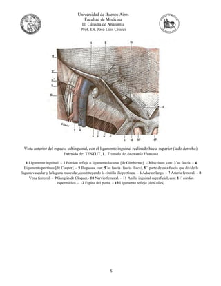 tp7_ESPACIO SUBINGUINAL.pdf