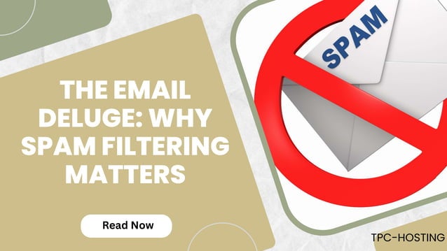 The Inbox: A Comprehensive Look at Email Spam Filtering | PPTX