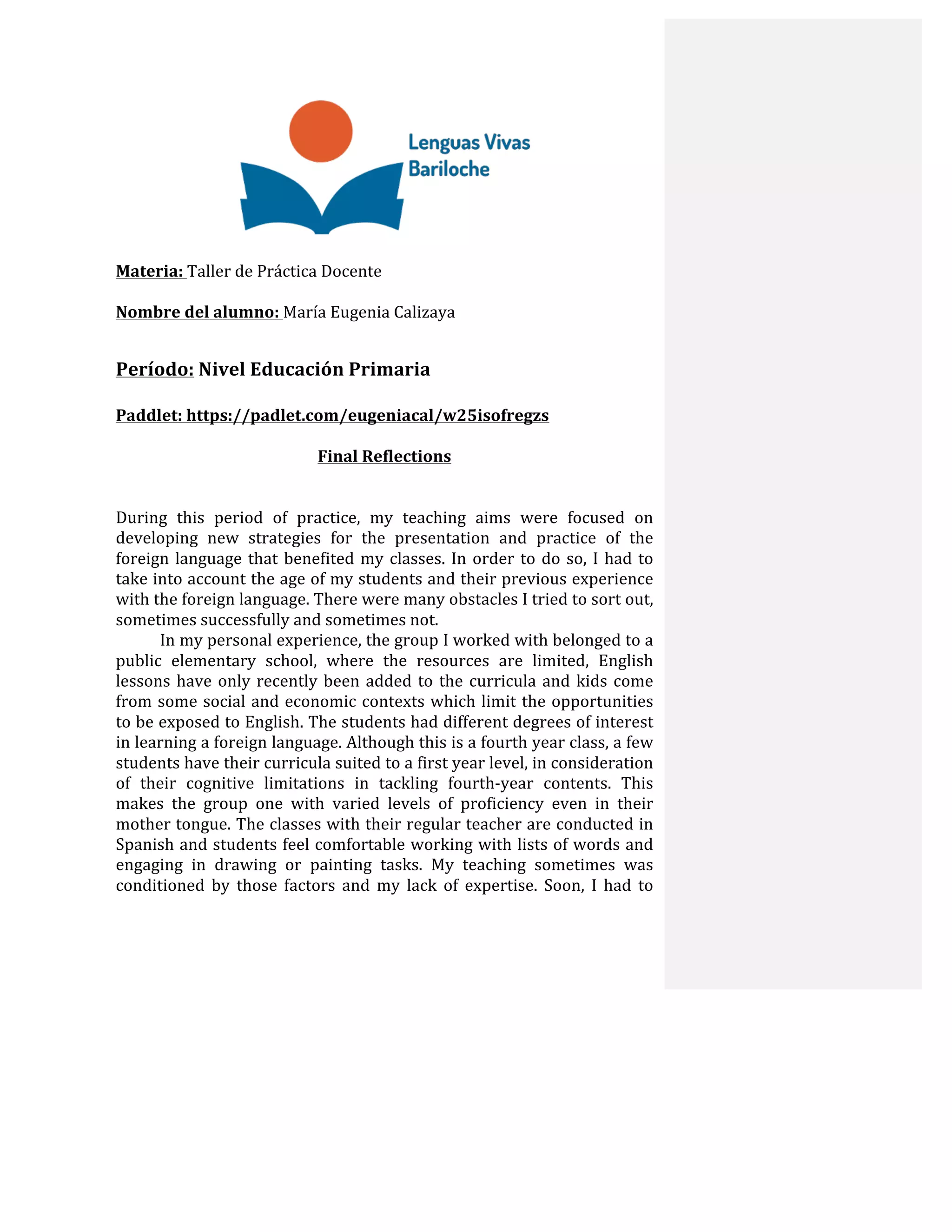 Primary Level - Final Reflections | PDF | Primary Education | Education