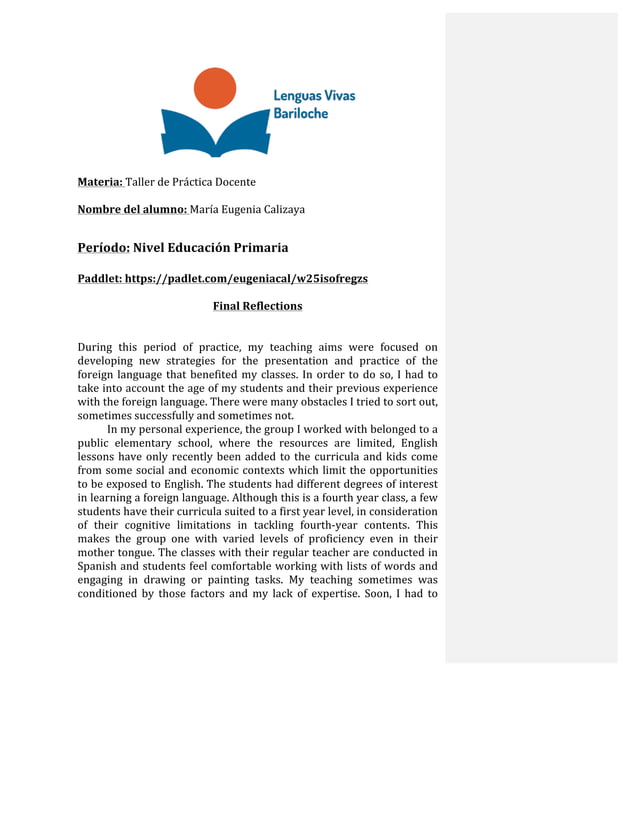 Primary Level - Final Reflections | PDF | Primary Education | Education