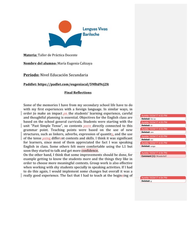 Secondary Level - Final Reflections | PDF