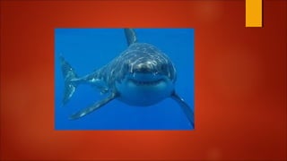 Tpd2018 lesson 4 - secondary - arroyo | PPT