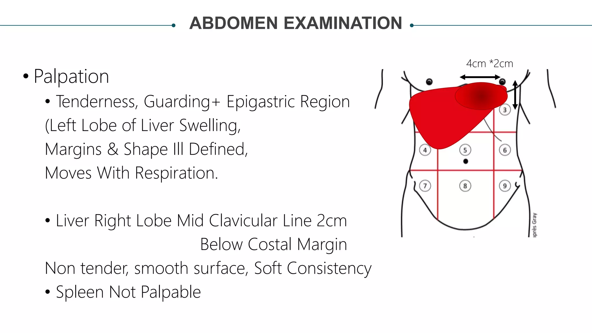 A Child with Eosinophilic liver abscess, Tropical pulmonary ...