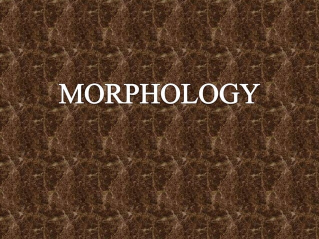 TETRALOGY OF FALLOT AND TET SPELL presentation | PPTX | Heart and ...