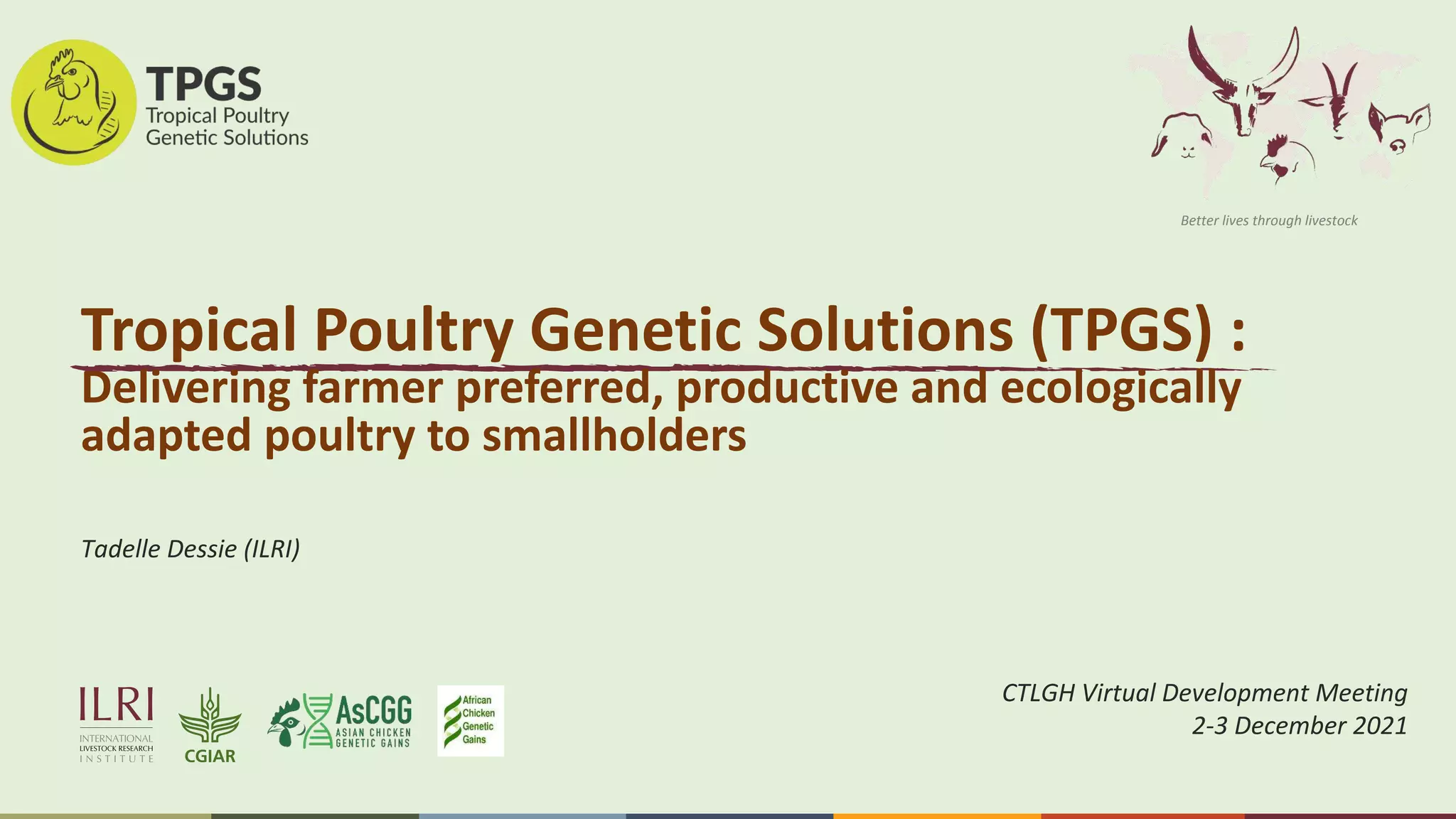Tropical Poultry Genetic Solutions (TPGS): Delivering farmer preferred, productive and ...