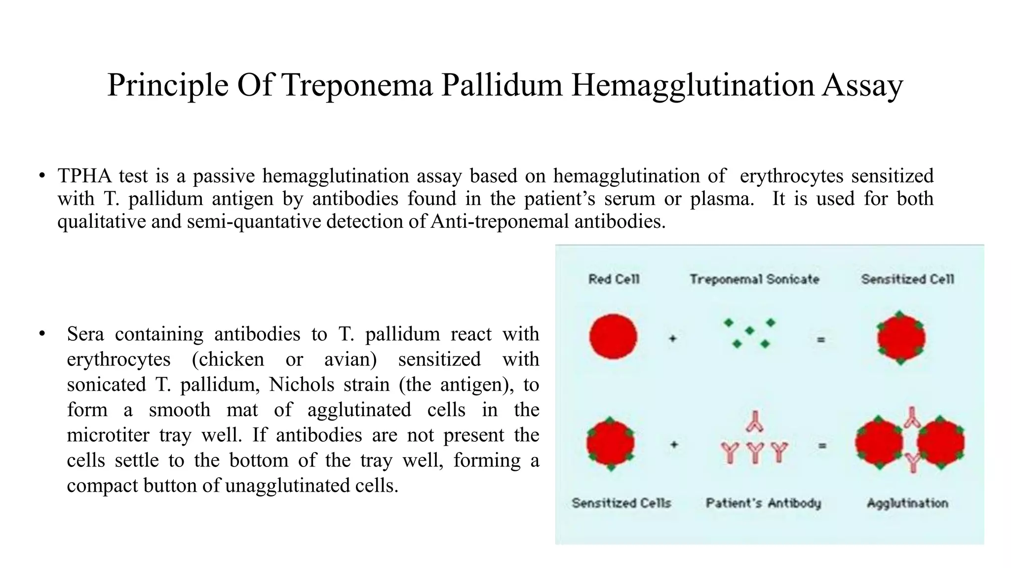 Treponema Pallidum Hemagglutination Assay CH.U | PPTX
