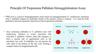 Treponema Pallidum Hemagglutination Assay CH.U | PPTX