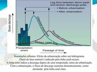 Tópico 4 - Hidrógrafa ou Hidrograma.pdfFFF | PDF