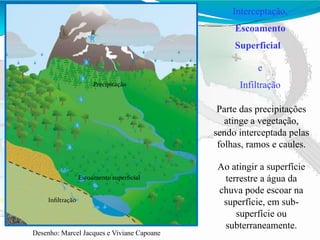 Tópico 4 - Hidrógrafa ou Hidrograma.pdfFFF | PDF