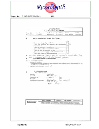 TPI - Example Report. | PDF | Physics | Science