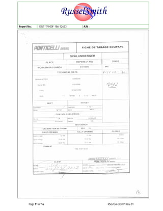TPI - Example Report. | PDF