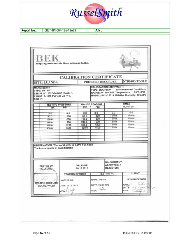 TPI - Example Report. | PDF