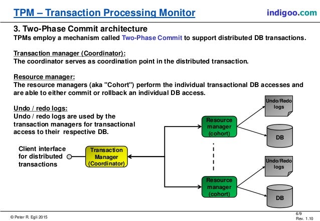 Transaction Processing Monitors (TPM)