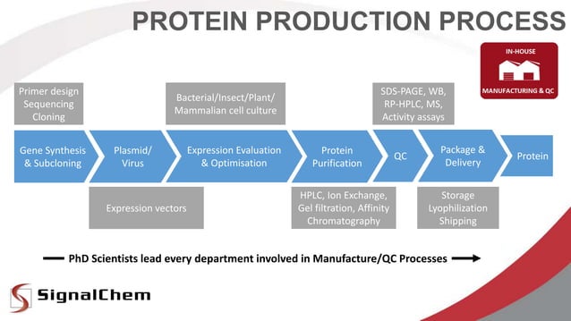 Custom Projects and Profiling Solutions | PPT | Free Download