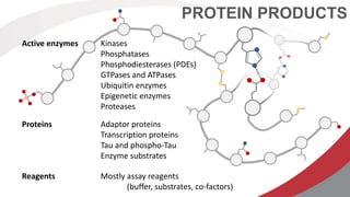 Custom Projects and Profiling Solutions | PPT