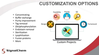 Custom Projects and Profiling Solutions | PPT