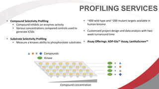 Custom Projects and Profiling Solutions | PPT