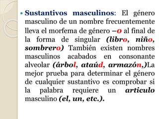 Los sustantivos | PPTX