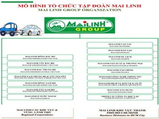 Tập đoàn mai linh | PPT