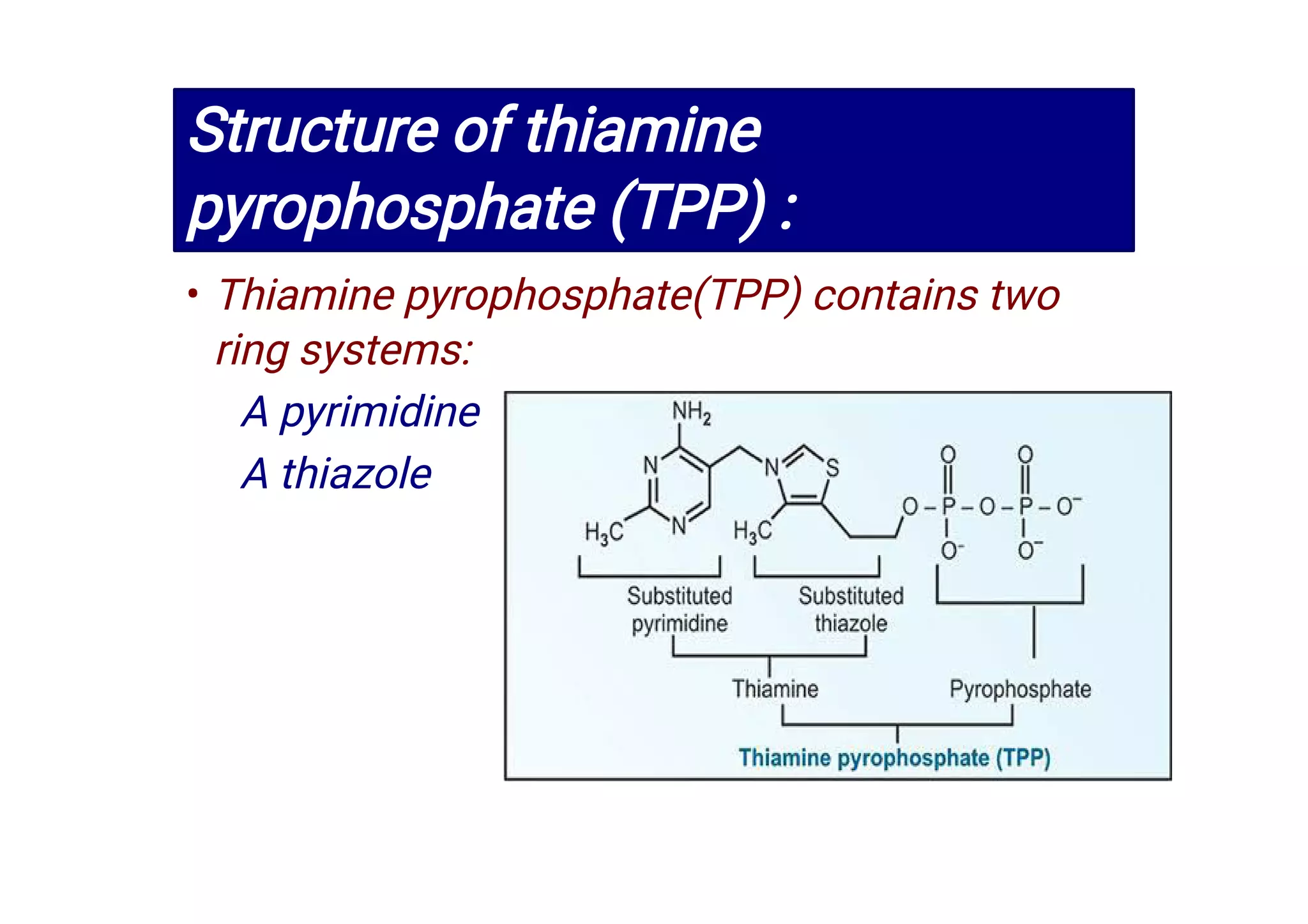 Tpp (coenzyme chemistry) | PDF