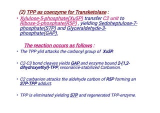 Tpp (coenzyme chemistry) | PDF