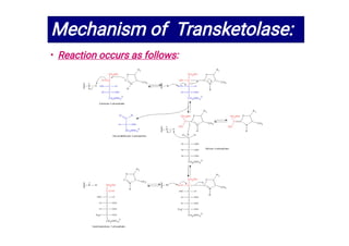 Tpp (coenzyme chemistry) | PDF
