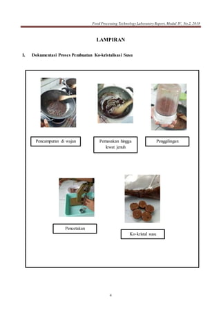 Laporan Praktikum TPP Materi 4 Ko-Kristalisasi Susu - UNPAS | PDF