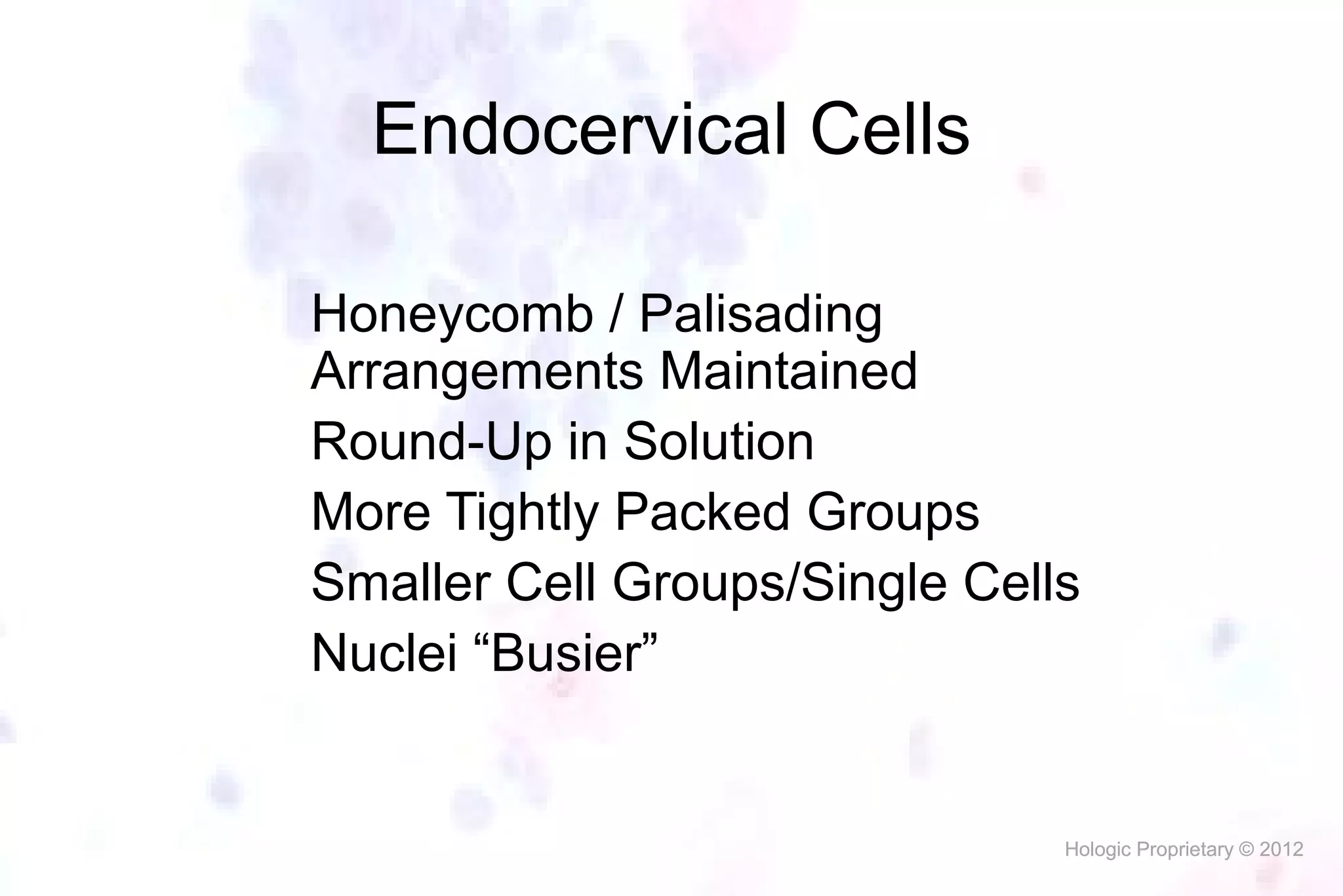 Thin prep morphology (Cervical cytology) | PPT