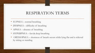 Temperature, Pulse, & Respiration CHART.pptx