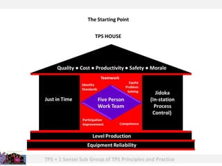 The 7 Branches of TPS + 1 | PPTX