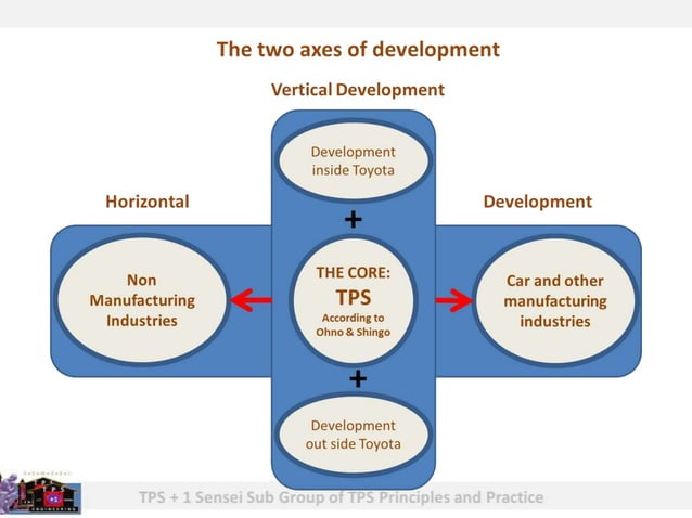 The 7 Branches of TPS + 1 | PPTX