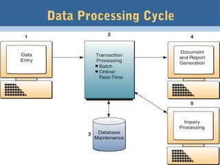 Online Transaction Processing Cycle