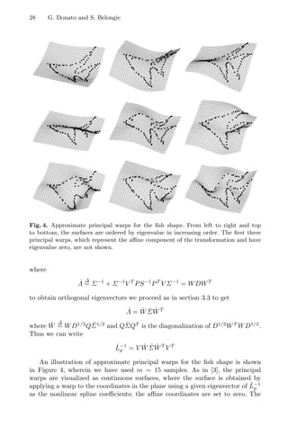 Approximate Thin Plate Spline Mappings | PDF | Computing | Technology & Computing