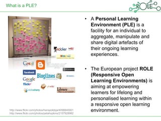 A Survey into the Teacher’s Perception of Self-Regulated Learning | PPT