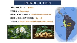 True Potato Seed Production Technology: A New Approach to Disease free ...