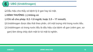 TỔNG PHÂN TÍCH NƯỚC TIỂU | PPTX